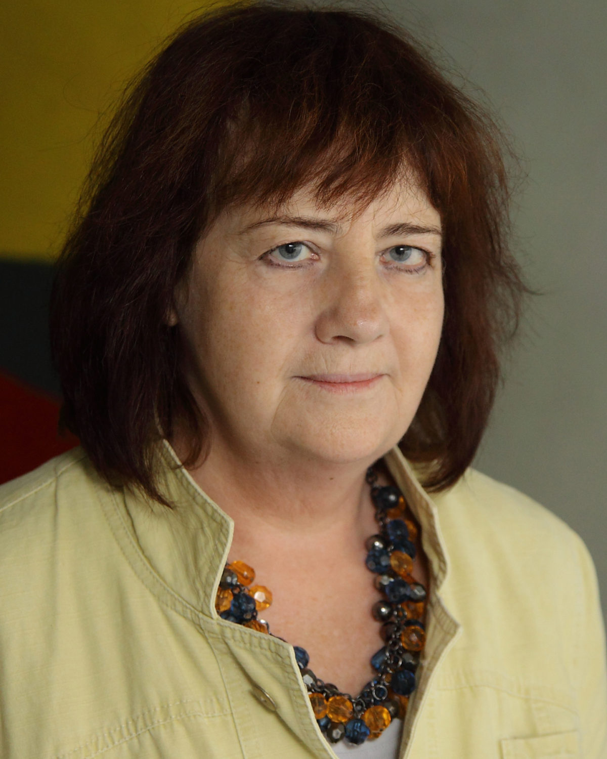 Research Network 2: Workplace Learning - Network Members